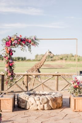 Outdoor Wedding at the Columbus Zoo Africa Center in Ohio | Katee ...
