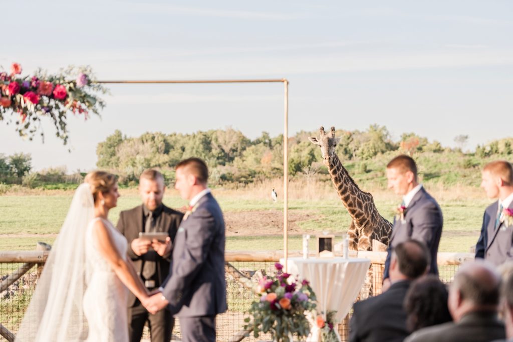 Outdoor Wedding at the Columbus Zoo Africa Center in Ohio | Katee ...